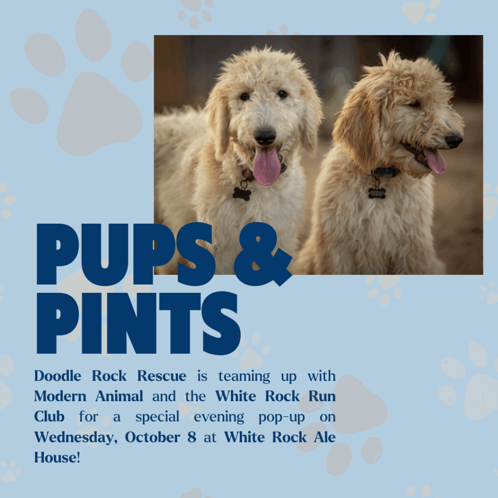 Pups & Pints with Modern Animal, Doodle Rock Rescue & White Rock Run ...